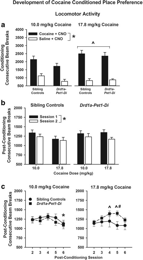 CPP Development Testing In Drd1a Pet1 Di And Sibling Control Mice Download Scientific Diagram