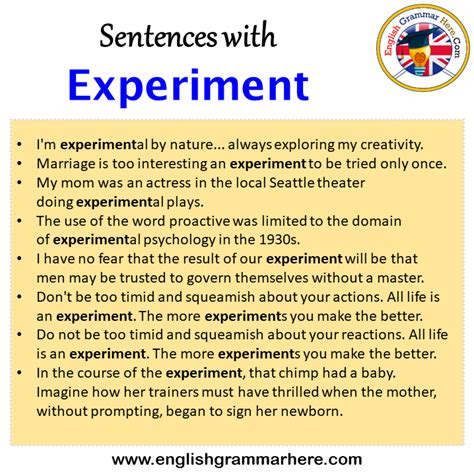 Sentences With Whether Whether In A Sentence In English Sentences For