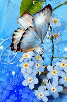 Blue Flower S Tenor