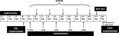 CPP Experimental Timeline Download Scientific Diagram