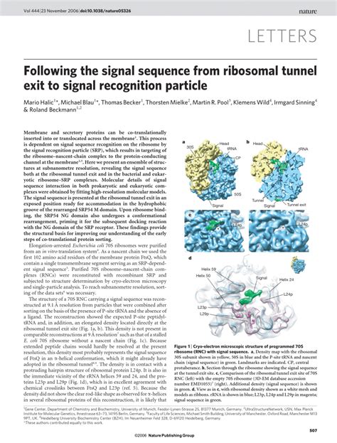 Pdf Following The Signal Sequence From Ribosomal Tunnel Exit To Signal Recognition Particle