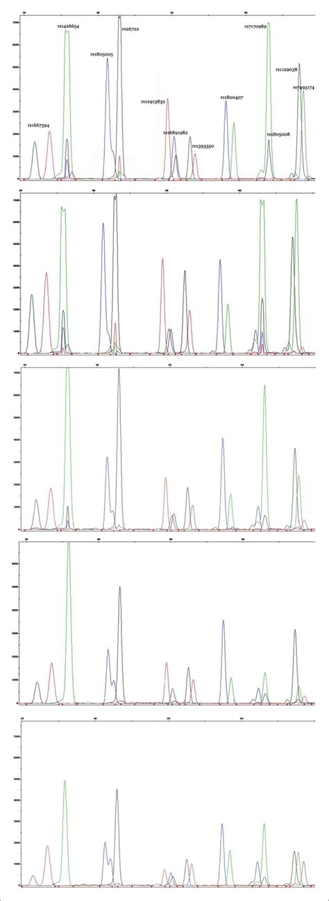 Sensitivity Testing Of Our Multiplex Assay Multiplex Single Base Download Scientific Diagram