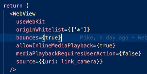 Camera For IOS Is Not Working In Inside Webview Issue React Native Webview React
