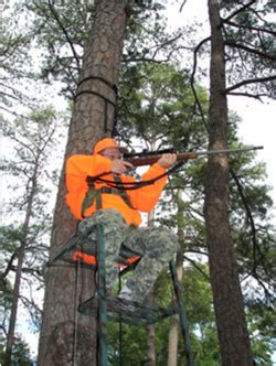 Tree Stand Safety Tips Hunting Safety American Hunting Lease Association