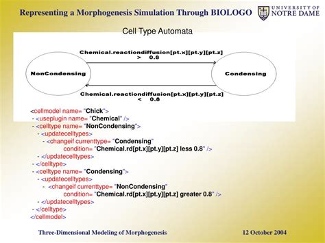 ppt three dimensional simulation of morphogenesis powerpoint