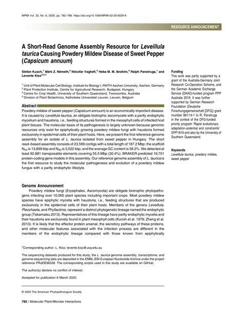 Pdf A Short Read Genome Assembly Resource For Leveillula Taurica Causing Powdery Mildew