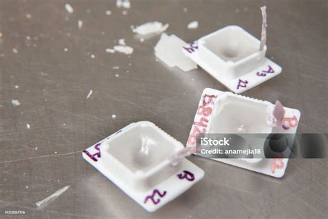 Preparation Of Paraffin Blocks Containing Biopsy Tissue For Sectioning Pathology Laboratory