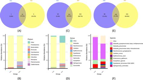 bacterial taxonomic composition and abundance at phylum genus and