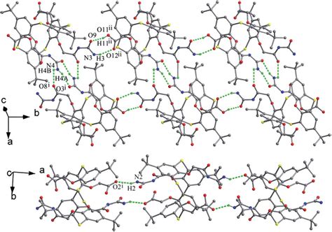 Partial Packing Structures Of 67 Top Showing A 1 D Doublestranded Download Scientific Diagram