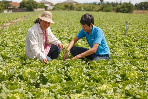Home Basf Crop Protection Philippines