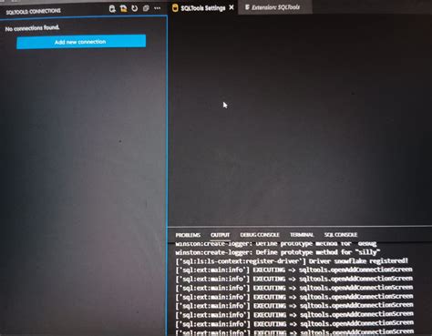 Sqltools Setting Tab Is Coming Blank · Issue 1145 · Mtxrvscode