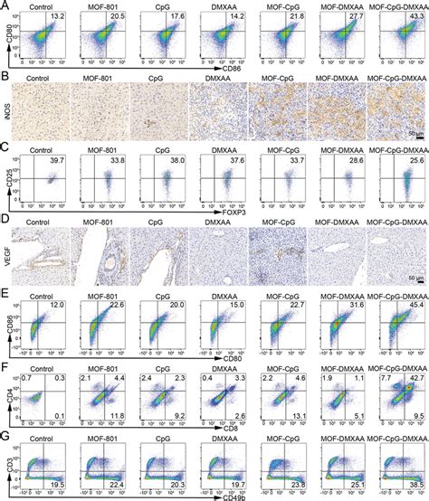 Mof‐cpg‐dmxaa Reversed The Tumor Immunosuppressive Microenvironment And