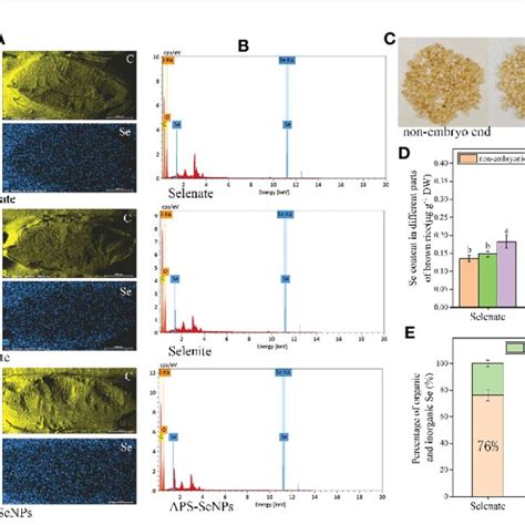 Grain Selenium Se Distribution Under Different Se Treatments A Download Scientific Diagram