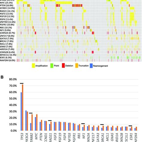 Genomic Landscape Of Breast Carcinoma Brain Metastases Bcbms A Download Scientific