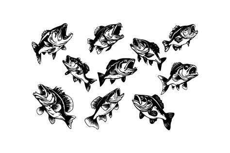 Premium Vector Largemouth Bass Illustrations Collection Vector Icon