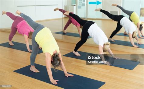 아르다 찬드라사나 포즈에서 요가 명상을 만드는 성숙한 여자의 그룹 3 명에 대한 스톡 사진 및 기타 이미지 3 명 45 49세 55 59세 Istock