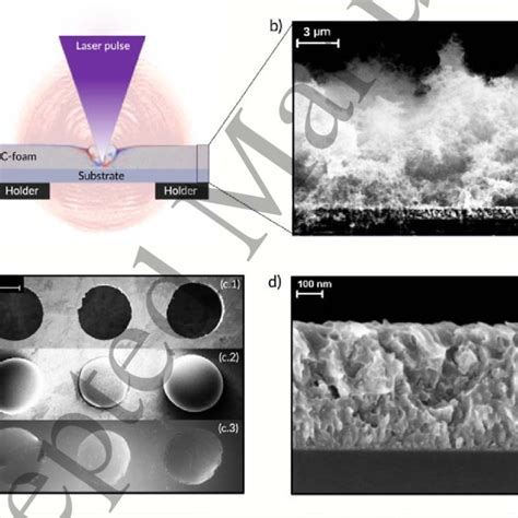 A Shows Double Layer Target Dlt Conceptual Scheme B Shows Dlt Download Scientific
