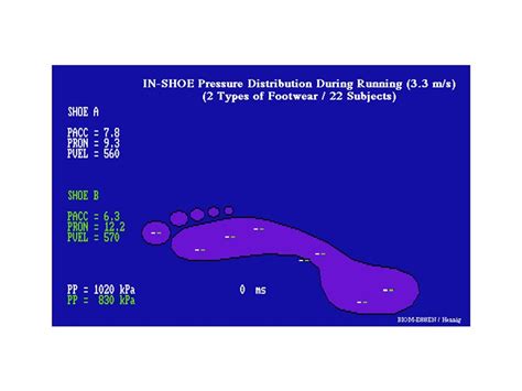 Gait Analysis Ariel Dynamics