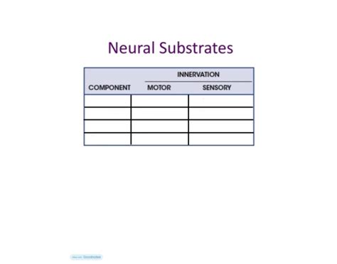 Neural Substrates Quiz