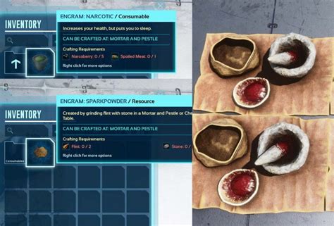 How To Level Up Fast In ARK Survival Ascended And All Methods Deltia S Gaming