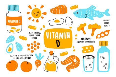 식품의 비타민 D 자원 해산물 보충제 우유 기름 카비아르 손으로 그린 문자 세트 프리미엄 벡터