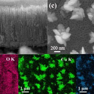 A SEM Top View And B Cross Section Of The TiO NTAs C SEM Download Scientific Diagram