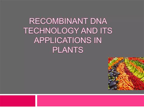 Recombinant Dna Technology And Its Applications In Plants Ppt