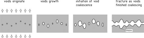 Scheme Of The Void Coalescence Download Scientific Diagram