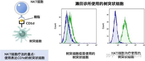 最新消息：日本濑田诊所集团即将开展新型细胞疗法 首家采用nkt细胞疗法 Dc疫苗联合方案 知乎