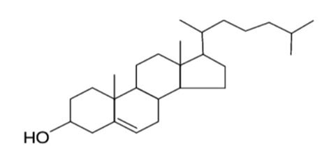 Biomolecules Lipids Flashcards Quizlet