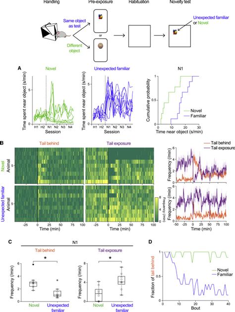 Striatal Dopamine Explains Novelty Induced Behavioral Dynamics And Individual Variability In