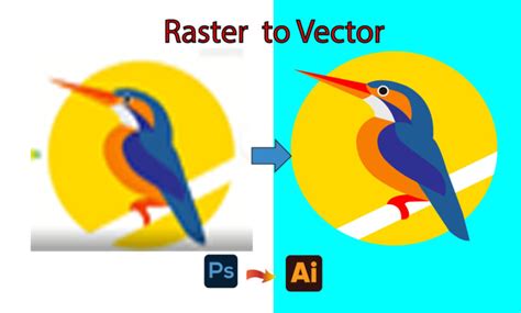 do vector tracing convert raster to vector by jennefer shinie fiverr