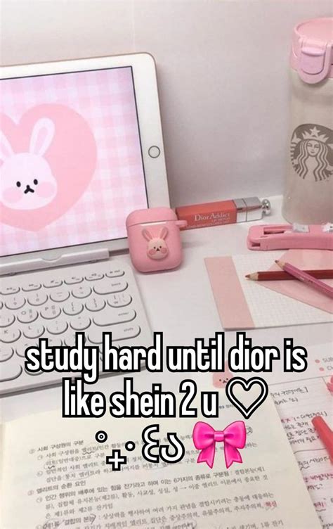 Aesthetic Study Setup