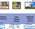 Movement Continuum Flashcards Quizlet