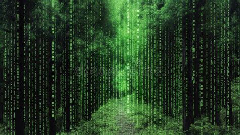 Digital Binary Code Transforming Into Chain Links In A Lush Forest