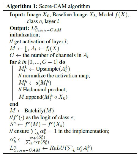 논문리뷰 Score Cam Score Weighted Visual Explanations For Convolutional