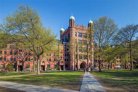 374100点を超える大学キャンパスのストックフォト、写真、そしてロイヤリティフリーの画像 Istock