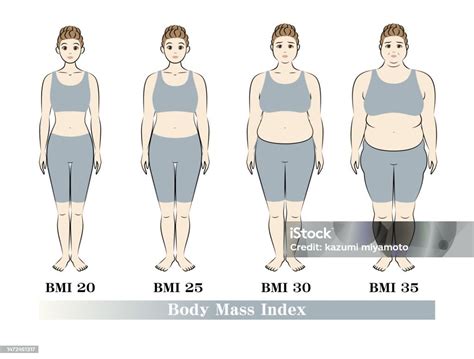 체중 감량 전후의 뚱뚱한 여자 다이어트 전후 Bmi 지수에 따른 젊은 여성의 체형 변화 그림 벡터 개선에 대한 스톡 벡터 아트 및 기타 이미지 Istock