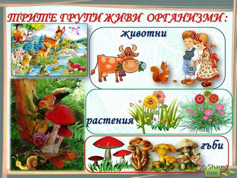 Презентация на тему Живите организми са Кликни върху картинката животните растенията и
