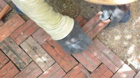 Worker Laying Red Brick Pathway Around The House Stock Footage Video Of Driveway Backyard