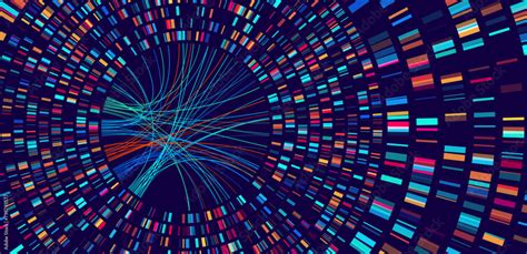 Circular Big Data Graph Dna Test Infographic Circle Genome Sequence