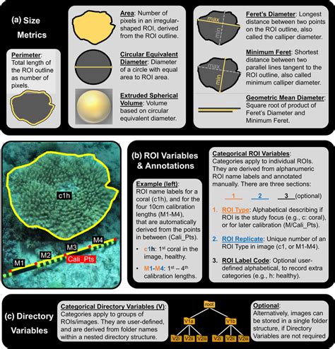 Illustration Showing The Variables That Can Be Measured And Recorded Download Scientific