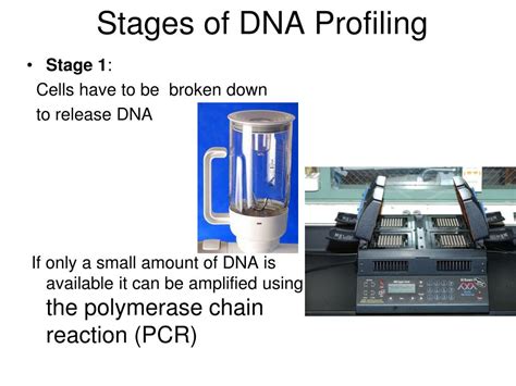 PPT DNA Profiling PowerPoint Presentation Free Download ID