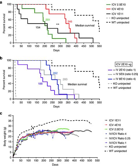 Effect Of Single Icv And Icviv Combined Injections Of Aav9 Smn1 In