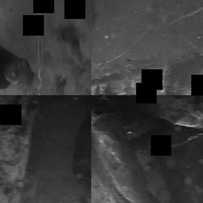 Yolov Underwater Object Object Detection Dataset And Pre Trained Model By Project