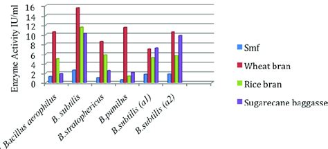 Quantity Of Xylanase Produced In Submerged Fermentation And Solid State