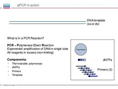 introduction to real time pcr q pcr qpcr qrt pcr qpcr technology w…