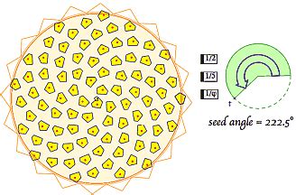 Discrete Math The Geometer S Sketchpad Resource Center