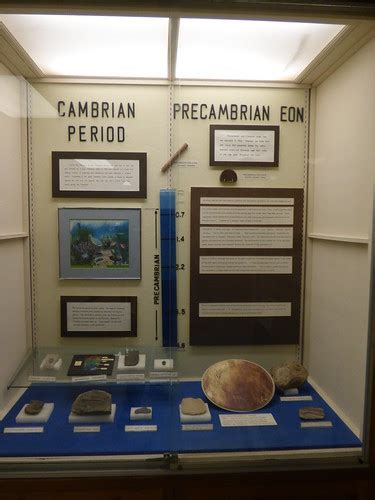 The Orton Geological Museum The Electronic Nomad
