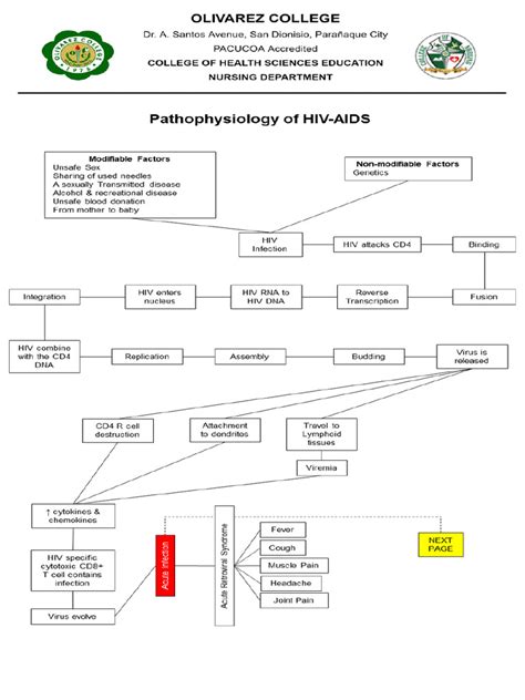 Hiv Aids Pathophysiology Pdf